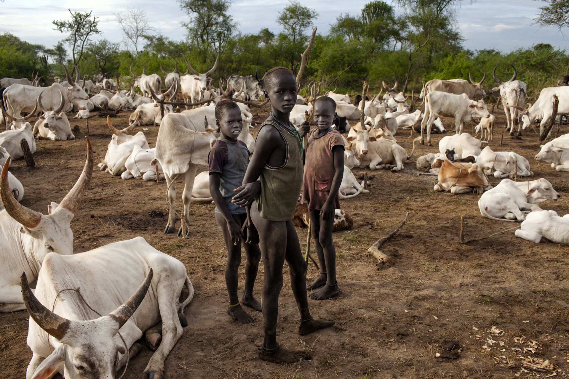 South Sudan, "A wild country grows in South Sudan" - Marco Di Lauro